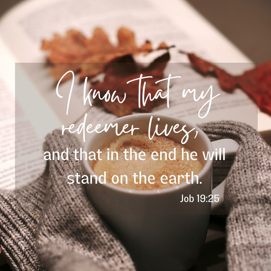 Job 19:25 - Naturally Chaotic