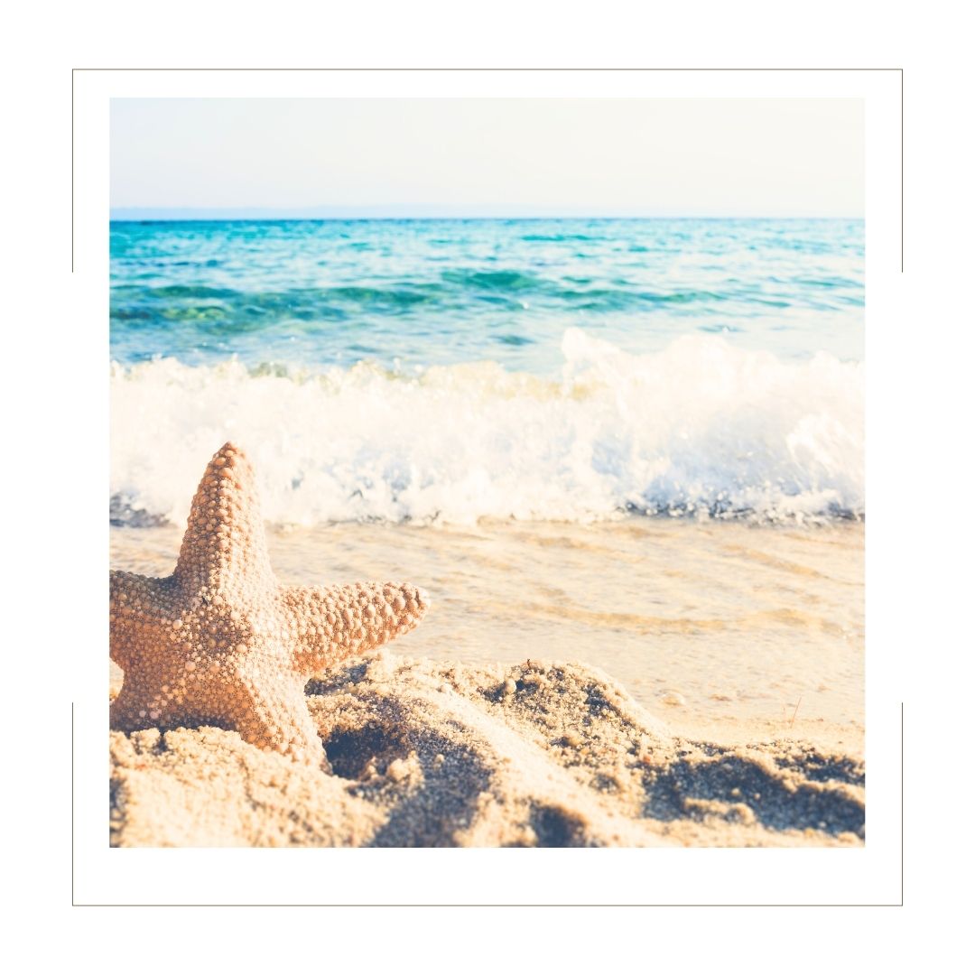 Let's talk Sunscreen and Sun! - Naturally Chaotic