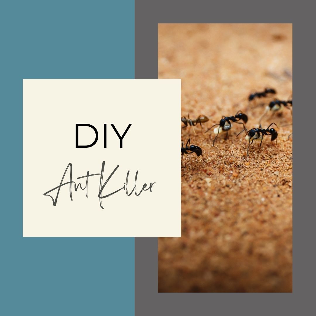 All Natural DIY Setting Powder - Naturally Chaotic