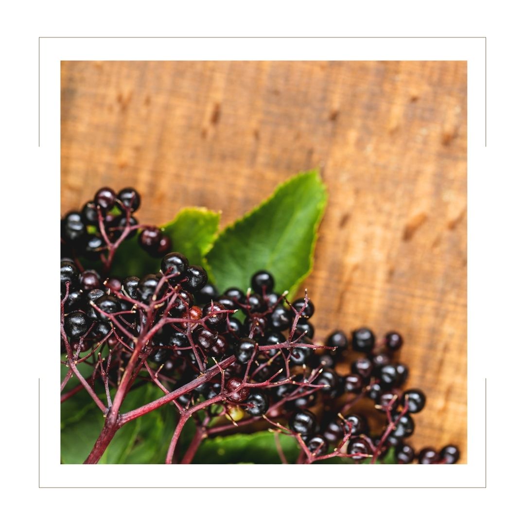 The Benefits of Elderberries - Naturally Chaotic